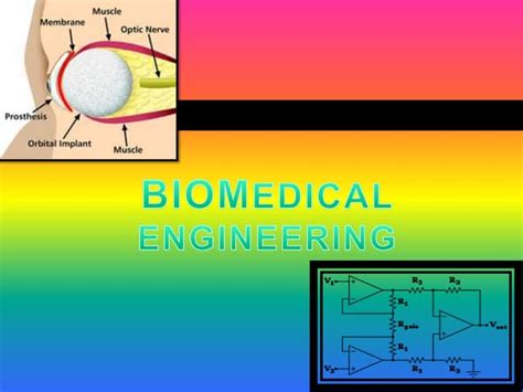 Biomedical Engineering Department In Hospital Ppt