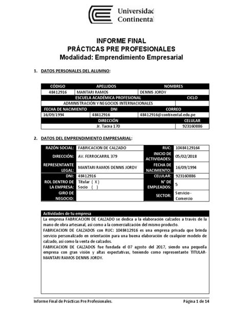 Formato De Informe Final Pdf Business Iniciativa Empresarial