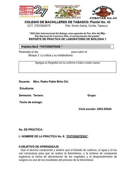 Pract No 8 Fotosintesis Pdf Fotosíntesis Plantas