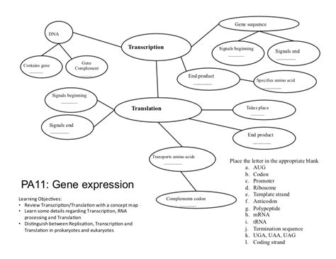 Gene Expression Concept Map At Lawrence Henry Blog