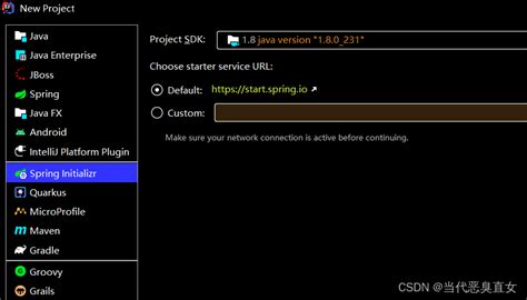 Mybatis Plus简介与springboot集成 Csdn博客