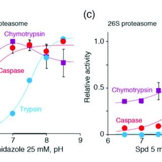 The Ph Dependence Of The Proteasomal Chymotrypsin Like Violet