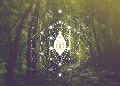 Adora Winquist Zenotica® ~ Brand Web Design And Feng Shui