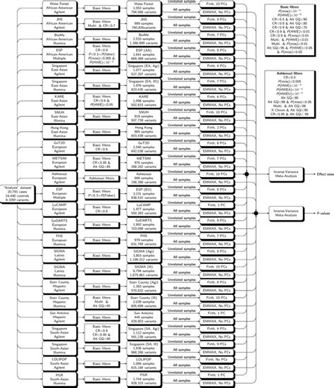 Single Variant Association Analysis Workflow A Schematic Of The Steps