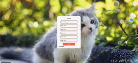 Springboot毕设 猫咖管理系统 程序论文 Csdn博客