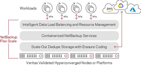 Technical Overview Of Netbackup Flex Scale Veritas