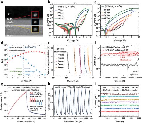 Retention Secured Nonlinear And Self‐rectifying Analog Charge Trap Memristor For Energy