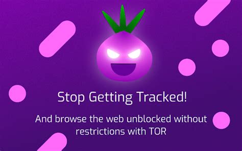 TOR Browser Extension For Google Chrome Extension Download