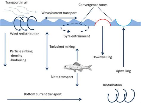 Factors That Influence The Distribution Of Plastics And Microplastics