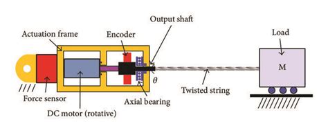 Schematic Representation Of The Tsa Structure Download Scientific