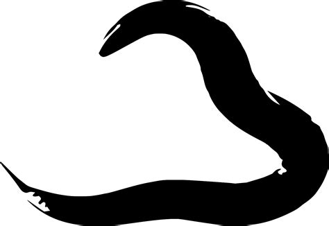 Caenorhabditis Elegans By Bob Goldstein Vectorization Jake Warner Cc0 1 0 Phylopic