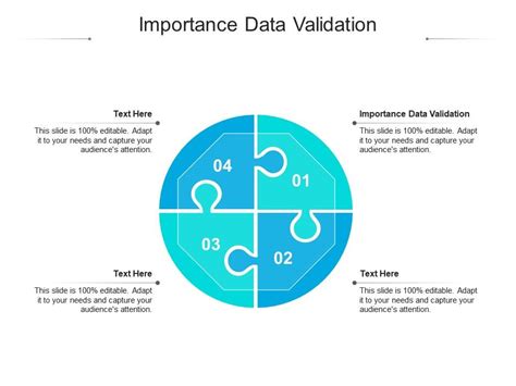Importance Data Validation Ppt Powerpoint Presentation Show Example Cpb
