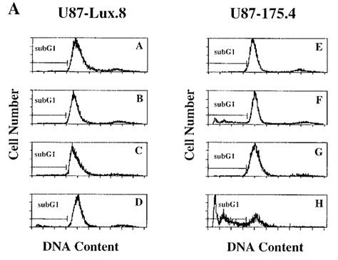 Cell Cycle Analysis U87 Lux8 And U87 1754 Cells Were Infected With