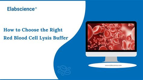 Red Blood Cell Lysis Buffer Composition
