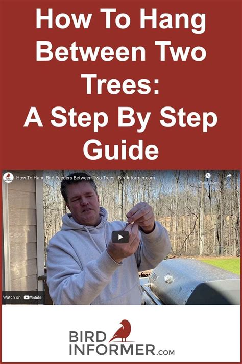 How To Hang A Bird Feeder Between Two Trees Complete Guide Step By Step Instructions On How To