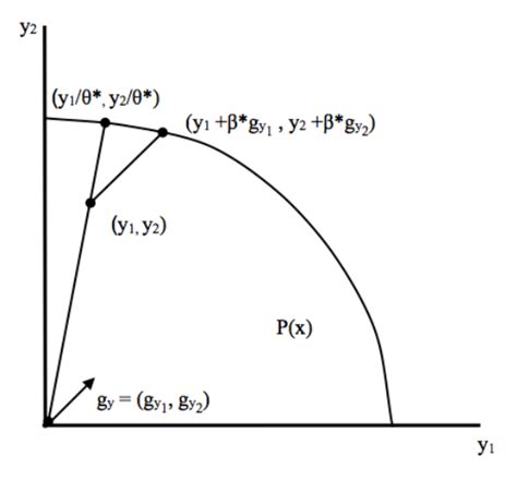 the directional and shephard output distance functions download