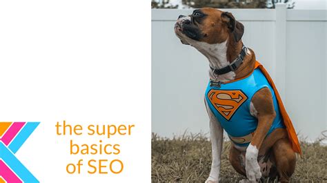 Search Engines The Super Basics Of Seo Kuka Studios