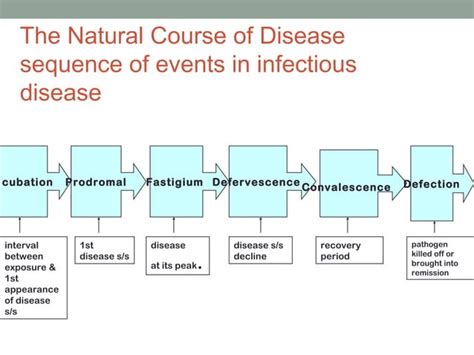 host pathogen interactions ppt infectious diseases diseases and