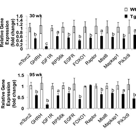 Gene Validation From Microarray Results Validation Was Analyzed By