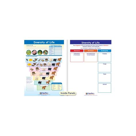 Diversity Of Life Visual Learning Guide Newpath Learning
