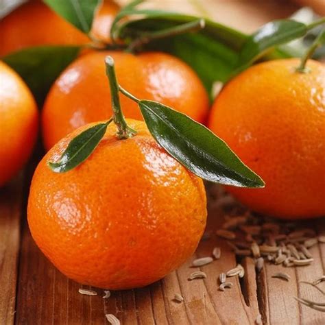 Clementine Essential Oil Packaging Size 1 50 Kg At ₹ 2500kilogram In Noida