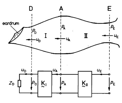 Ear Canal Part 1 Computational Acoustics With Open Source Software