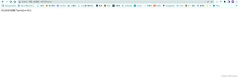 Docker部署java项目（dockerfile方式）java Dockerfile Csdn博客