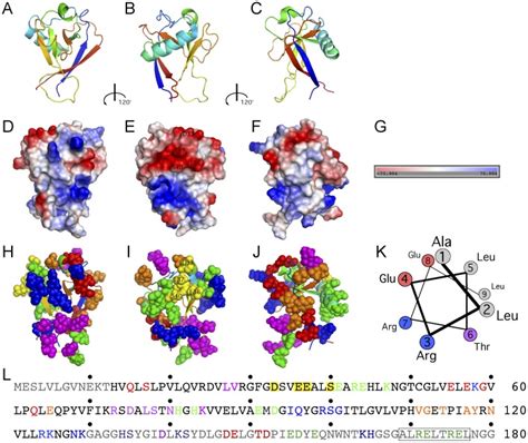 The Structure Of Sars Cov Nsp1 Was Solved From Aa 13 To 127 32 And