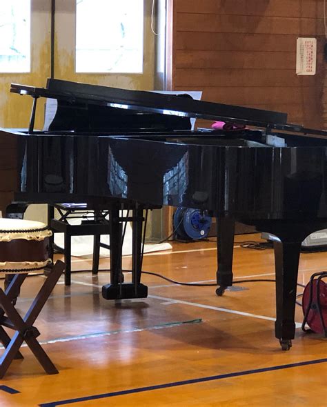 Саруул ухаан2 Урлагийн үзлэг