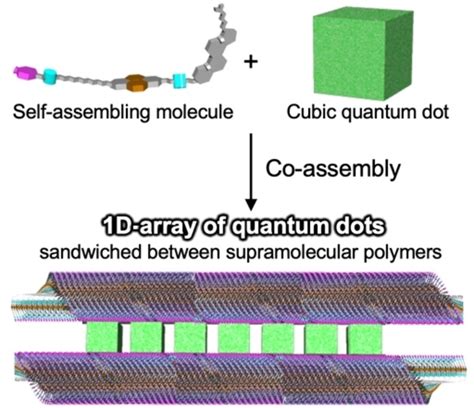論文掲載angew Chem Int Ed増尾研究室 増尾研究室 関西学院大学理工学部 環境・応用化学科
