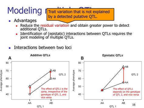 Ppt Statistical Methods For Quantitative Trait Loci Qtl Mapping Ii