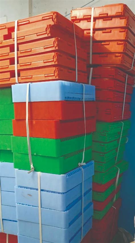 Collapsable Plastic Crate Small Capacity 10 Kgs At ₹ 280 In Bengaluru