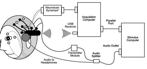 Schematic Diagram Of Simultaneous Research Eeg System Neuroscan Download Scientific Diagram