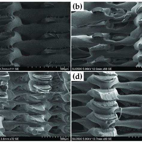 Representative Sem Of Fracture Morphology Of Peek Samples Printed With Download Scientific