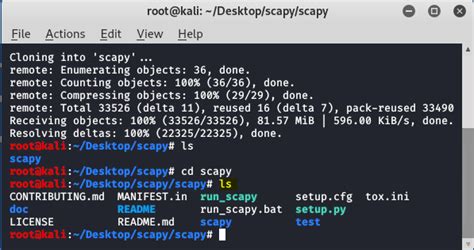 scapy packet manipulation in kali linux geeksforgeeks