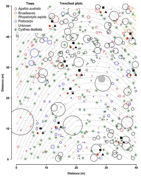 Overview Of The Research Plot Showing The Position Of All Trees Download Scientific