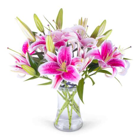 Stargazer Lily Bouquet Flower Delivery Corunna On Lapier S Flowers Gifts