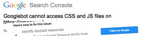 How To Fix Googles Blocked Javascript Css And Image Point And Stare