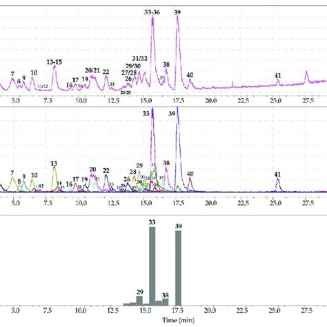 High Performance Liquid Chromatography With Electrospray Ionization Download Scientific Diagram