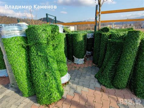 Декоративна Мрежа в Огради и мрежи в гр Бургас Id41451819 — Bazar Bg