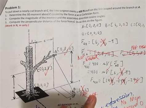 Solved Problem To Pull Down A Nearly Cut Branch At C The Chegg Com