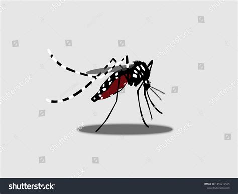 Vektor Stok Mosquito Illustration Vector Mosquitoes Carry Many Tanpa Royalti 1455217505