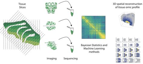 Statistical Methods For 3d Spatial Reconstruction Of