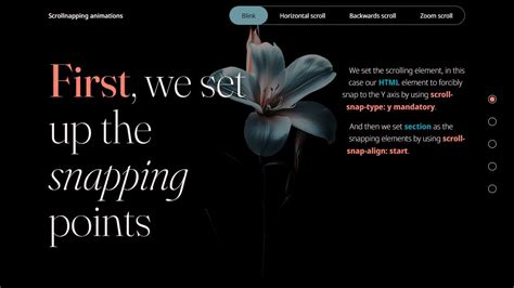 Css Scroll Driven Scroll Snapping Animations For Chrome Desktop