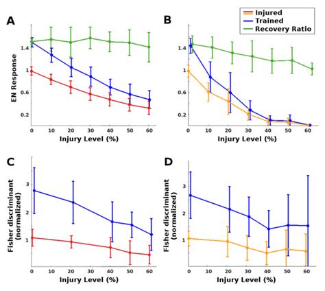 Brain Sciences Special Issue Investigating Dynamics And Plasticity