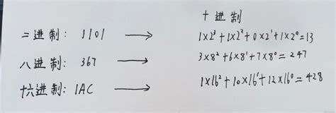 编程的必备基础知识编程基础知识 Csdn博客