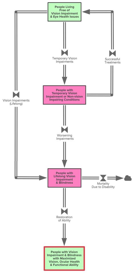 Systems Mapping The International Agency For The Prevention Of Blindness