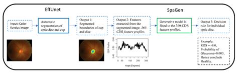 Architecture Of Efficientnetb1 With Mbconv As Basic Building Blocks Download Scientific