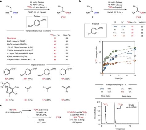Optimization Experiments A Overview Of Impact Of Reaction Parameters