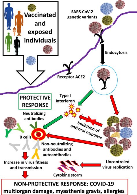 [pdf] Approaching Challenges Posed By Sars Cov 2 Genetic Variants Semantic Scholar